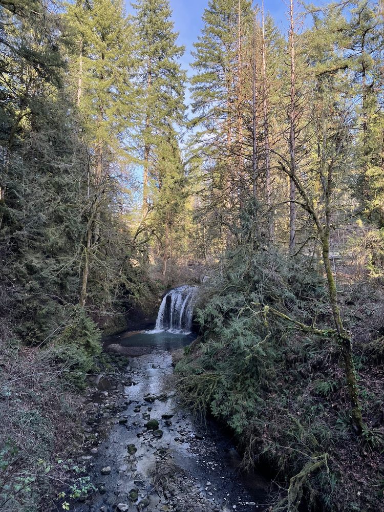 HIDDEN FALLS NATURE PARK - 16 Photos - Hiking - 14888 152nd, Happy ...