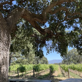 ROBLAR WINERY - Updated July 2024 - 644 Photos & 426 Reviews - 3010 ...