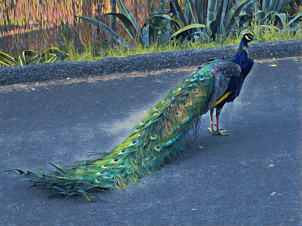 PINOLE VALLEY PARK - Updated September 2025 - 22 Photos - 3790 Pinole ...