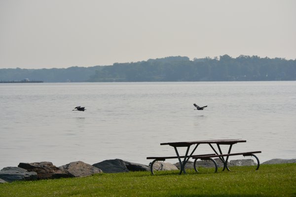 FLYING POINT MARINA - Updated December 2025 - 35 Photos - 324 Flying ...