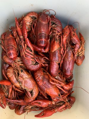 LTK CRAWFISH - 213 Photos & 324 Reviews - 7020 N Eldridge Pkwy, Houston ...