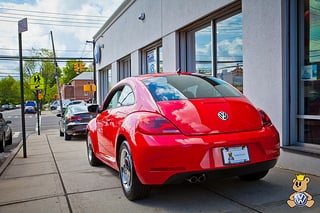 TEDDY VOLKSWAGEN - Updated October 2025 - 57 Photos & 194 Reviews - 3743 Boston Rd, Bronx, New ...