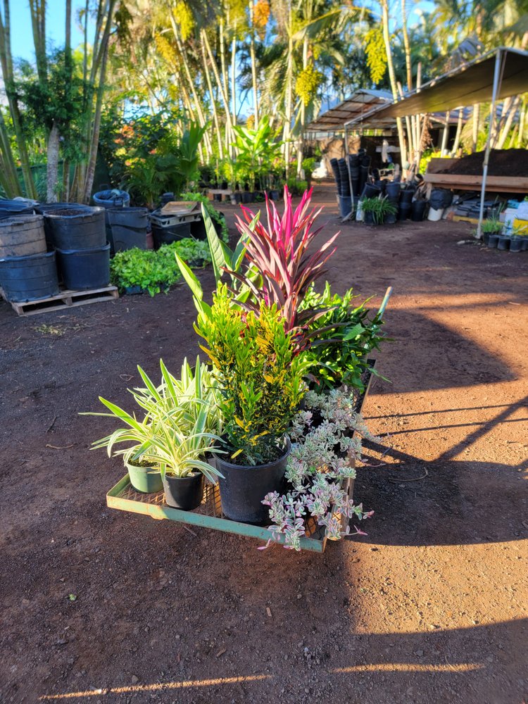 KUNIA COUNTRY FARMS - Updated December 2025 - 52 Photos & 24 Reviews ...