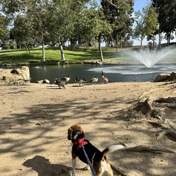 TEWINKLE PARK - Updated September 2025 - 447 Photos & 125 Reviews - 970 ...