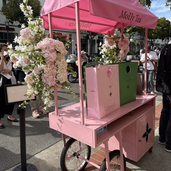 MOLLY TEA - Updated December 2025 - 458 Photos & 390 Reviews - 153 S B ...