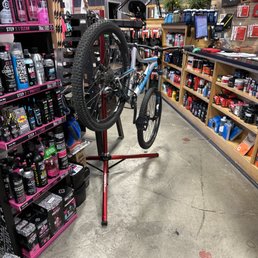 INCYCLE BICYCLES - Updated September 2025 - 183 Photos & 515 Reviews ...