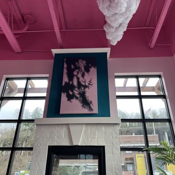 LULA COFFEE - Updated June 2024 - 143 Photos & 52 Reviews - 3100 ...