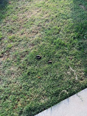 BELLFLOWER SHERIFF SUBSTATION - Updated November 2025 - 12 Photos & 10 ...