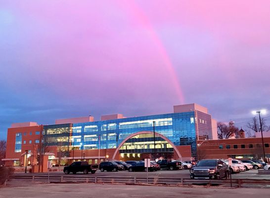 SPRINGFIELD CLINIC - Updated December 2025 - 52 Reviews - 1025 South ...