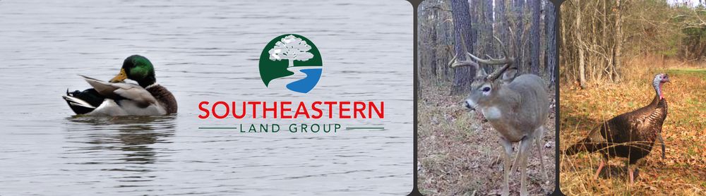 JACK GABRIEL - SOUTHEASTERN LAND GROUP - Updated January 2026 - Contact ...