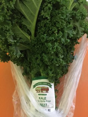 RATTO BROS - Updated December 2025 - 6312 Beckwith Rd, Modesto ...