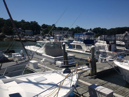 METROPOLITAN YACHT CLUB - Updated December 2025 - 39 Vinedale Rd ...