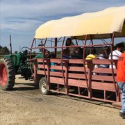 JOHNSON’S CORNER FARM - 422 Photos & 197 Reviews - 133 Church Rd ...