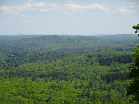 MOHAWK STATE FOREST - Updated December 2025 - 36 Photos & 12 Reviews ...