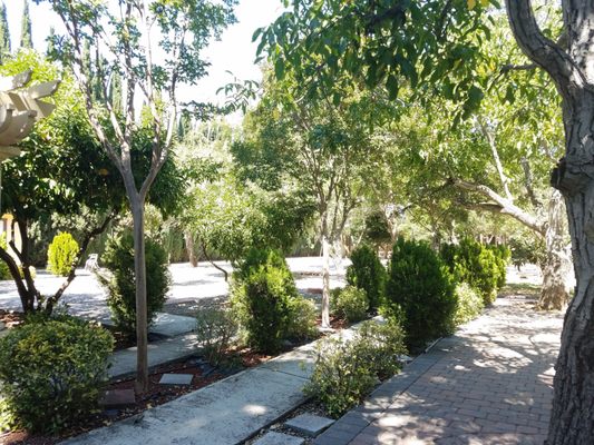 TATHAGATA MEDITATION CENTER - Updated December 2025 - 46 Photos - 1215 ...