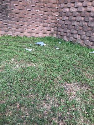 ASSUMPTION CEMETERY - CHAPEL & MAUSOLEUM - Updated May 2024 - 53 Photos ...