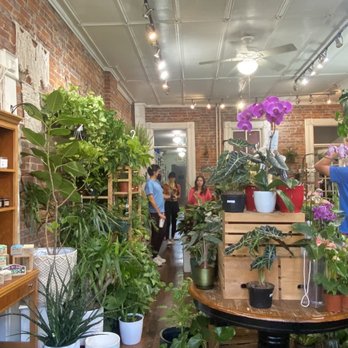 CITY GROWS - Updated December 2025 - 54 Photos & 30 Reviews - 5208 ...