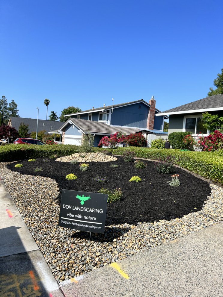 DOV LANDSCAPING - Updated December 2024 - 81 Photos - Napa, California ...