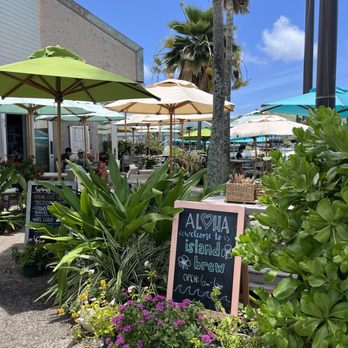 ISLAND BREW COFFEEHOUSE - Updated August 2024 - 1987 Photos & 1050 ...