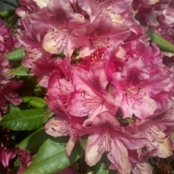 GOOD SAMARITAN REGIONAL MEDICAL CENTER - 16 Photos & 48 Reviews - 3600 ...