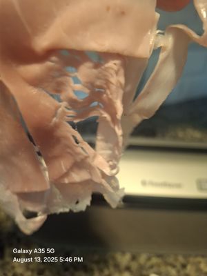 BERNTHAL PACKING - Updated December 2025 - 10 Reviews - 9378 Junction ...