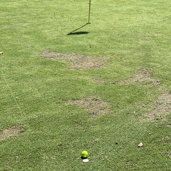 GREENDALE GOLF COURSE - Updated December 2025 - 28 Photos & 50 Reviews ...