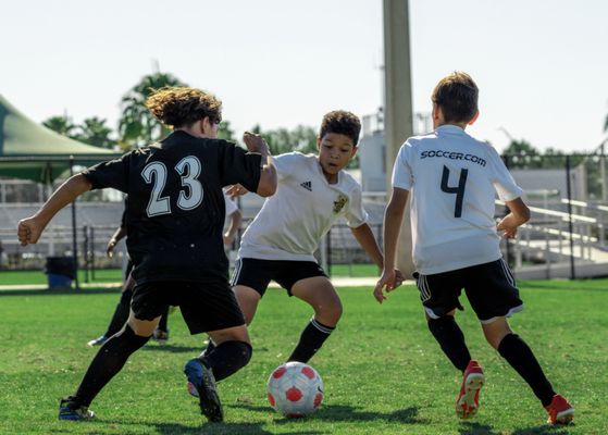 DME ACADEMY SARASOTA - Updated October 2025 - 34 Photos - Sarasota ...