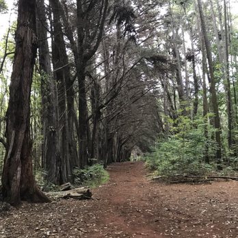 WAIHOU SPRING TRAIL - Updated December 2025 - 70 Photos & 22 Reviews ...