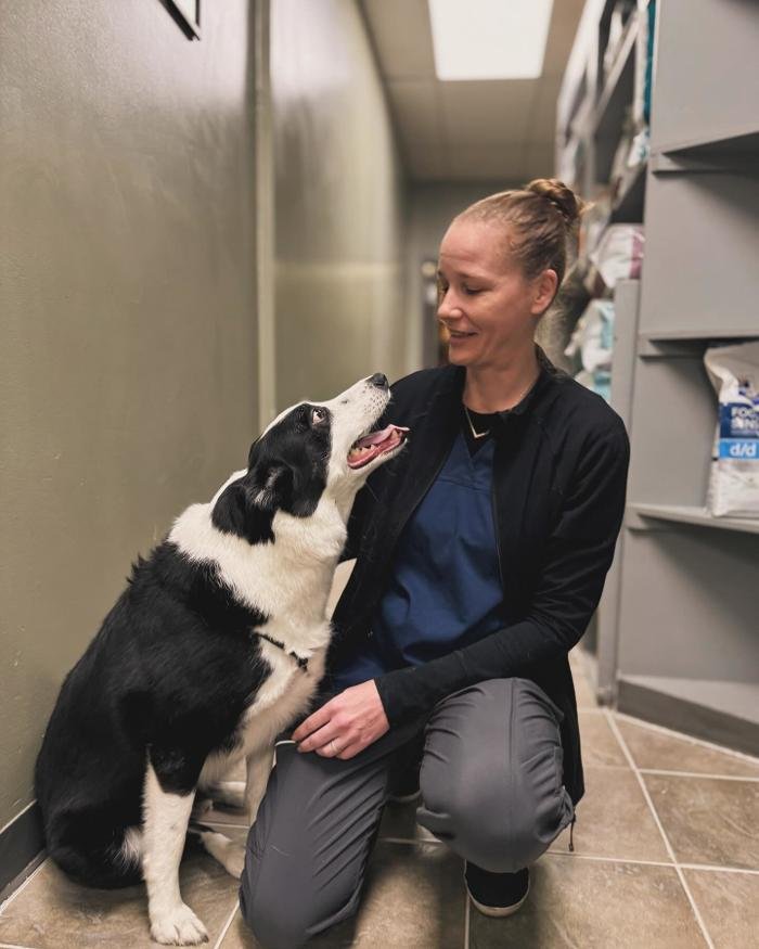 KATO ANIMAL HOSPITAL - Updated January 2026 - 34 Photos & 18 Reviews ...