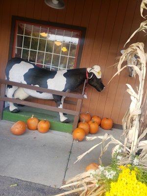 THE SPRING HOUSE - Updated October 2024 - 145 Photos & 111 Reviews ...