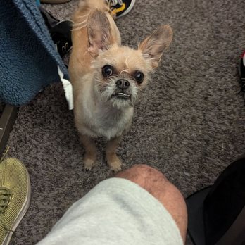 PAWGO - Updated February 2025 - 122 Photos & 219 Reviews - 46 W Hatcher ...