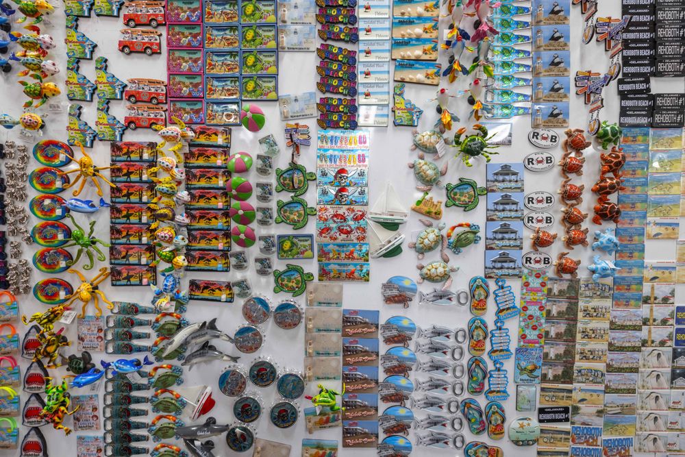 SEA SHELL SHOP - Updated September 2025 - 63 Photos & 27 Reviews ...