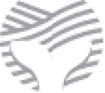 MERMAID BEACH RADIOLOGY - Updated June 2024 - 2469 Gold Coast Hwy ...