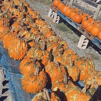 DEMAREST FARM - Updated September 2025 - 834 Photos & 361 Reviews - 244 ...