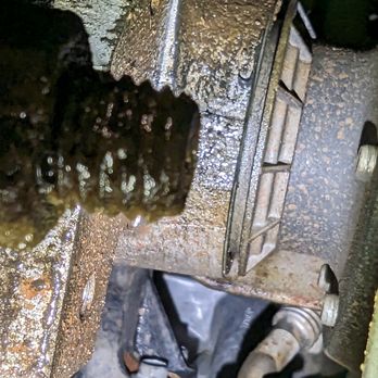 LEMON SQUAD - Updated October 2024 - 90 Photos & 327 Reviews - Los ...