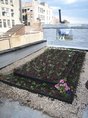 THE BOWERY MISSION - Updated August 2025 - 37 Photos & 33 Reviews - 227 ...