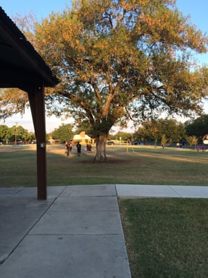 DELLVIEW SWIMMING POOL - Updated November 2025 - 500 Basswood Dr, San ...