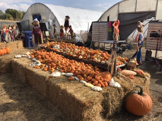 SWORE FARMS - Updated December 2025 - 30 Photos - 225 Ballard Rd ...