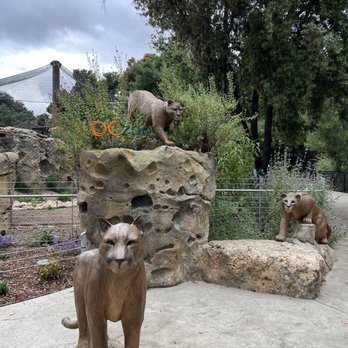 ORANGE COUNTY ZOO - Updated August 2024 - 1349 Photos & 377 Reviews - 1 ...