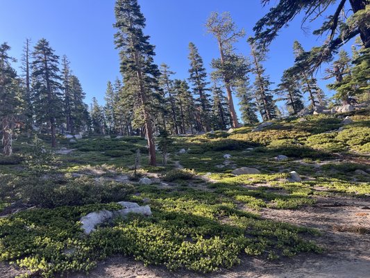 ANGORA LAKES RESORT - Updated September 2025 - 145 Photos & 39 Reviews ...