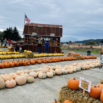 KNUTSON FARMS - Updated October 2025 - 155 Photos & 41 Reviews - 16406 ...