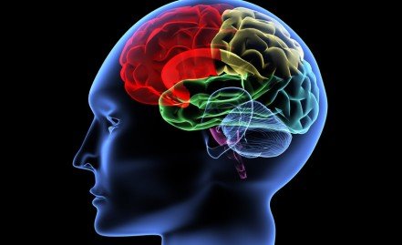 ALEXIS ANVEKAR, MD ABIHM: LIVING METHOD - Updated April 2026 - 13 ...