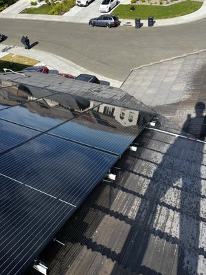 BIRD PROOF - Updated May 2024 - 69 Photos & 35 Reviews - 2194 Mozart ...