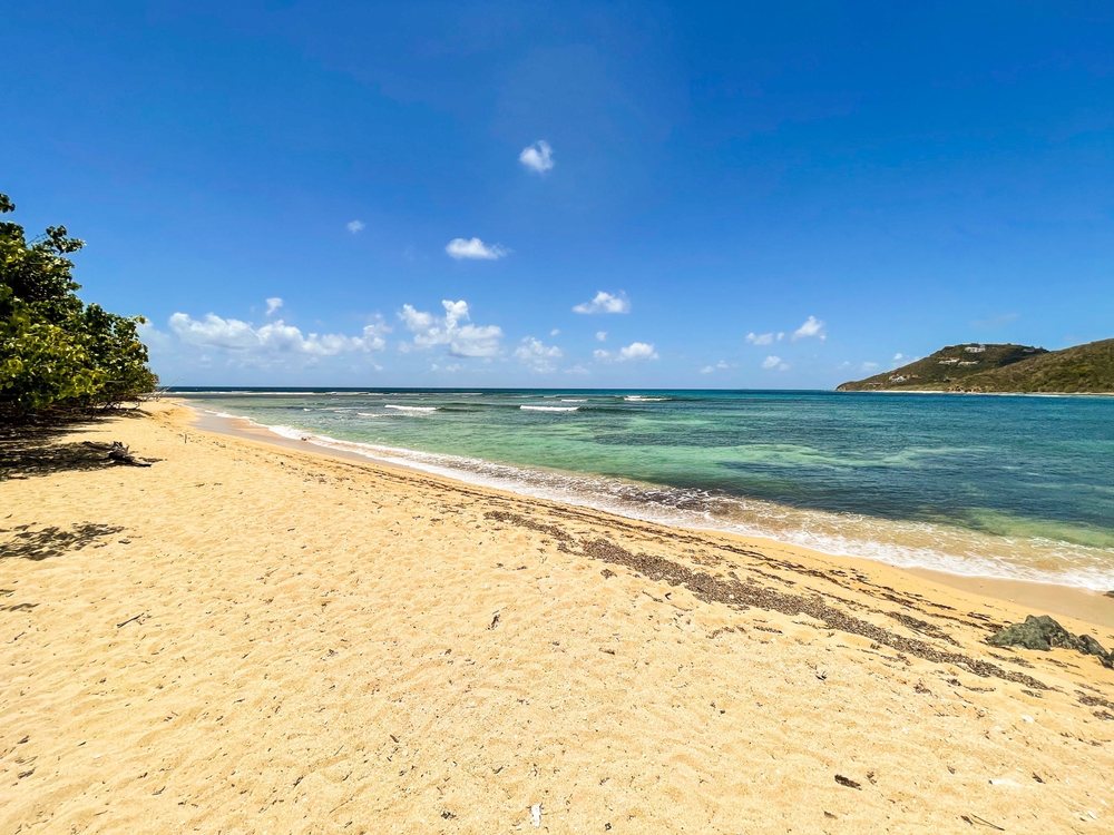 REEF BAY TRAIL - 16 Photos - Hiking - Reef Bay Trail, Virgin Islands ...