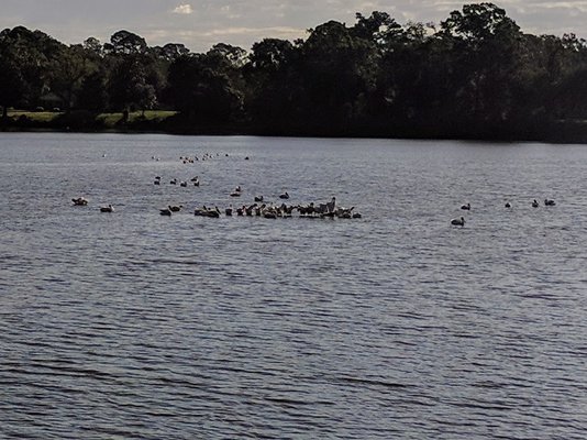 UNIVERSITY LAKE - Updated July 2025 - 11 Photos - W Lakeshore Dr, Baton ...