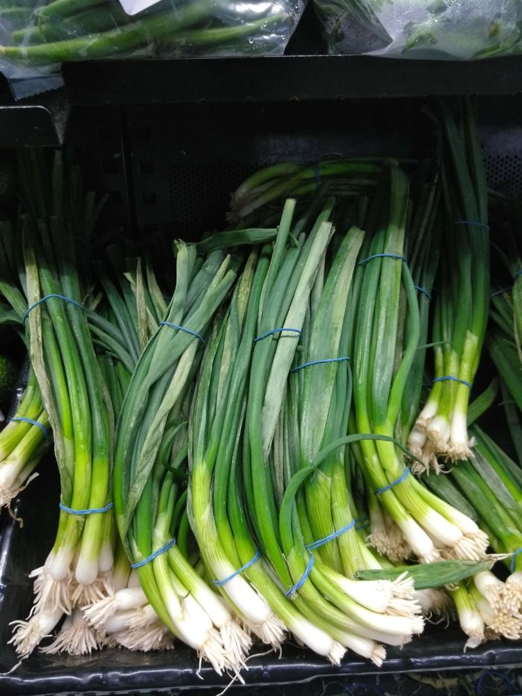 APOLLO MARKET - Updated October 2025 - 20250 W 7 Mile Rd, Detroit ...