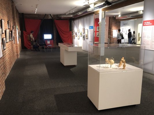 CARTOON ART MUSEUM - 113 Photos & 16 Reviews - Bookstores - 781 Beach ...