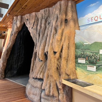 GIANT FOREST MUSEUM - Updated April 2025 - 96 Photos & 27 Reviews ...