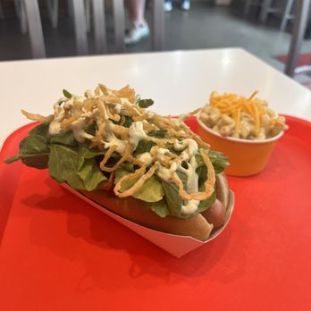 HAUTE DOGGERY - Updated November 2024 - 739 Photos & 472 Reviews - 3545 ...