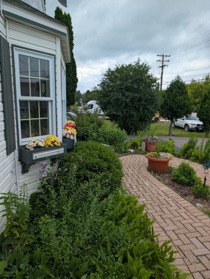 JAVA CAT - Updated September 2025 - 79 Photos & 120 Reviews - 4221 Lien ...